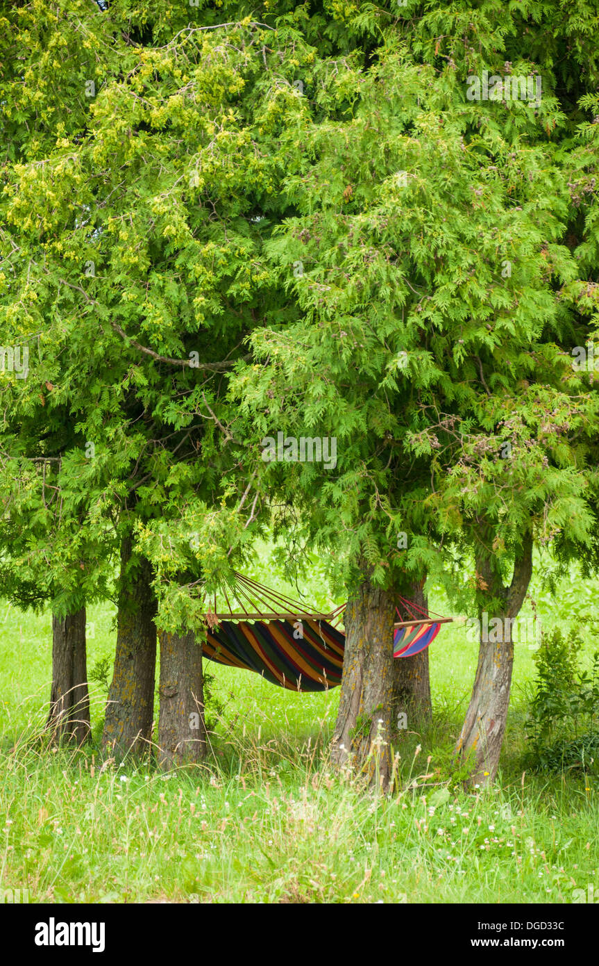 Down under chill hi-res stock photography and images - Alamy