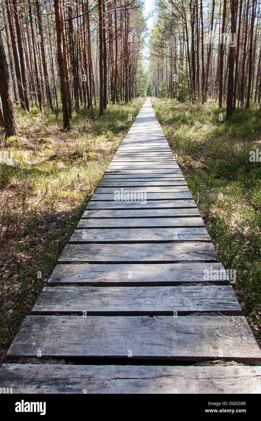 Wooden walkway in the woods Stock Photo - Alamy
