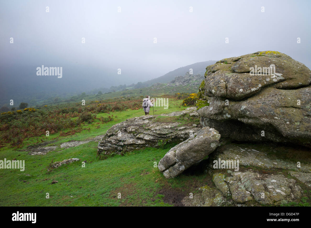 Bonehill Rocks, Dartmoor, Devon UK Stock Photo - Alamy