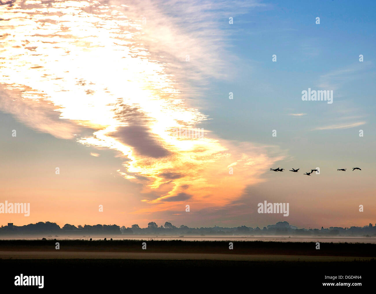 Dramatic misty morning sun rays hi-res stock photography and images - Alamy