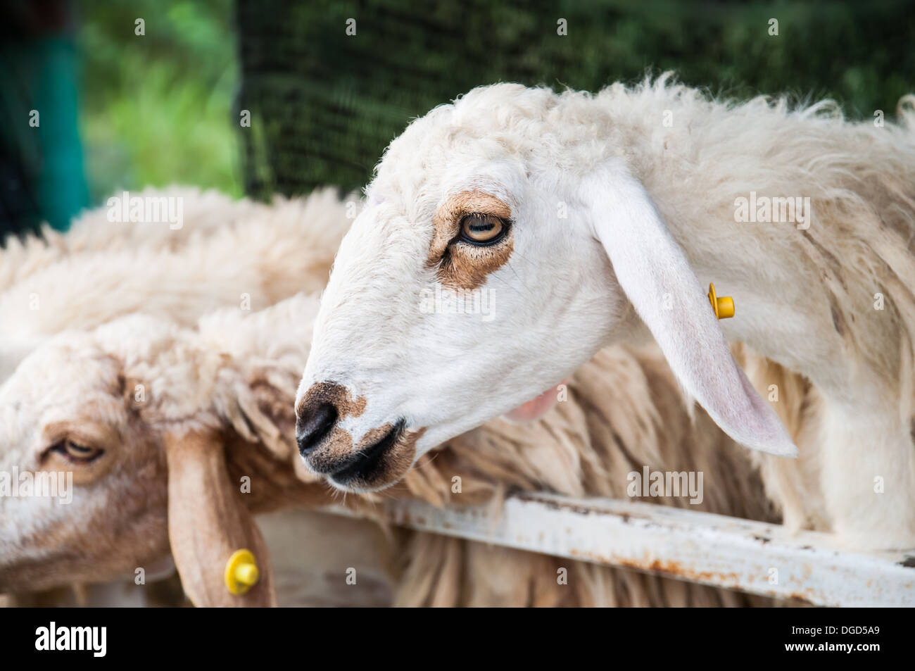 Farm stall hi-res stock photography and images - Alamy