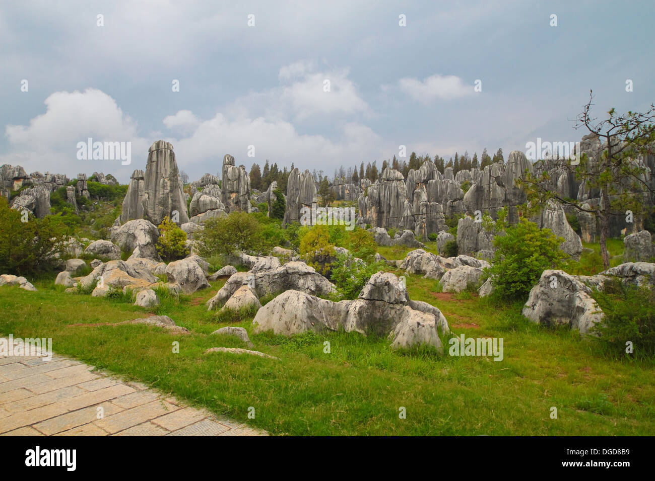 Limestone formation at Kunming Stone forest or Shilin, a UNESCO World ...
