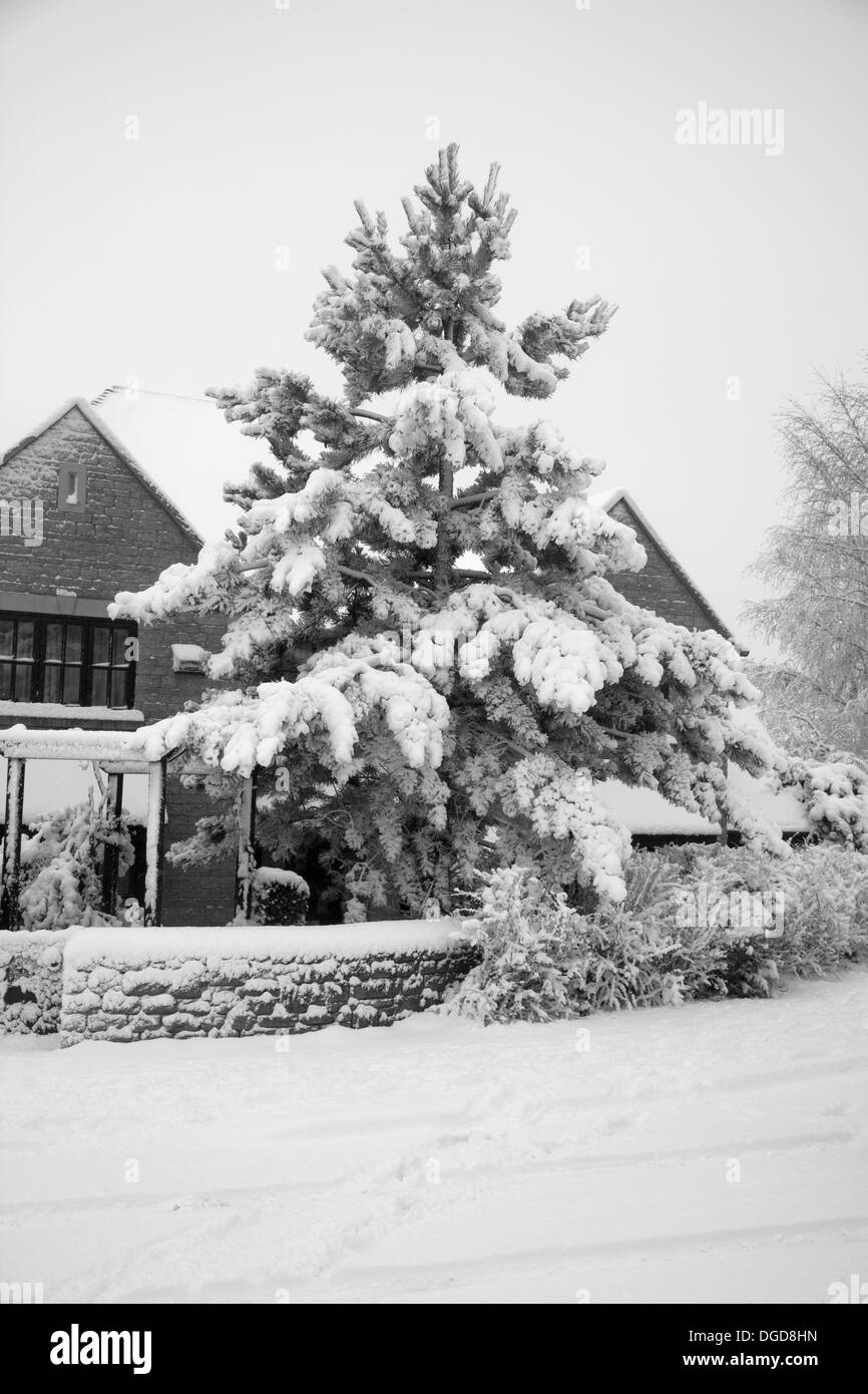 View snow covered road in Black and White Stock Photos & Images - Alamy