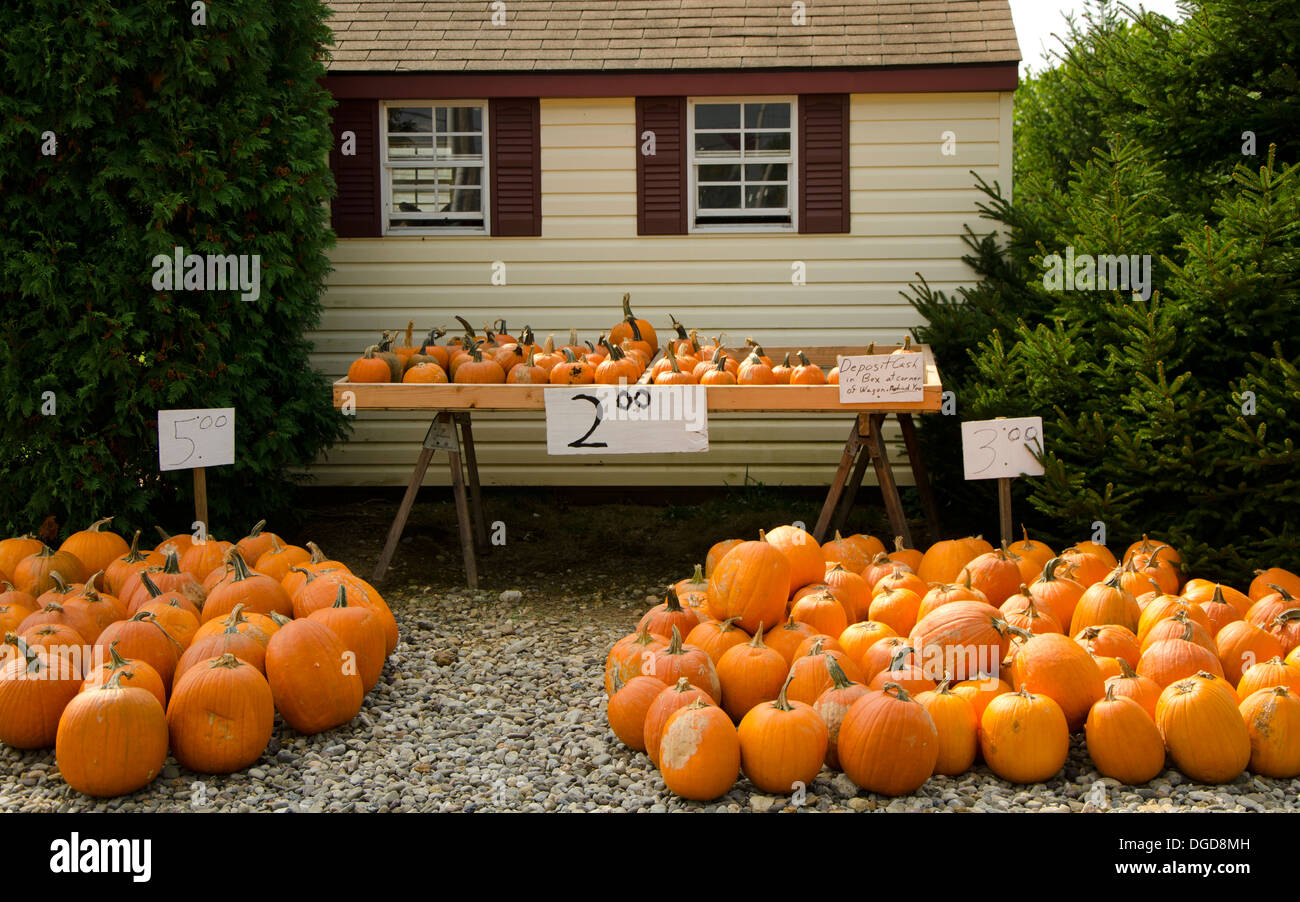 Pumpkin pile hi-res stock photography and images - Alamy