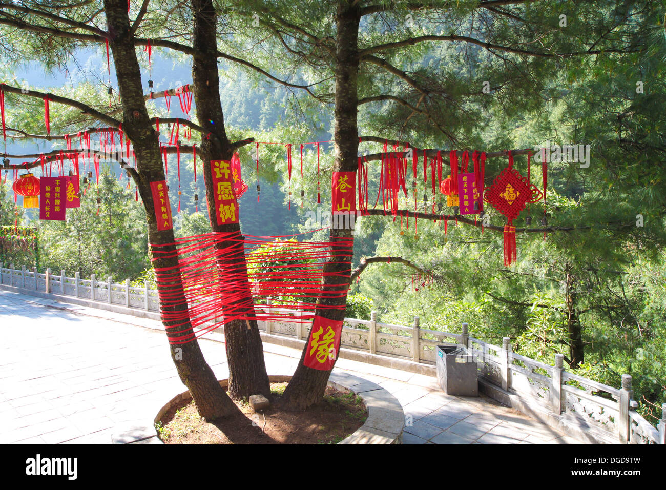 A wishing tree at Cangshan Grand Canyon tourism spot located at Dali ...