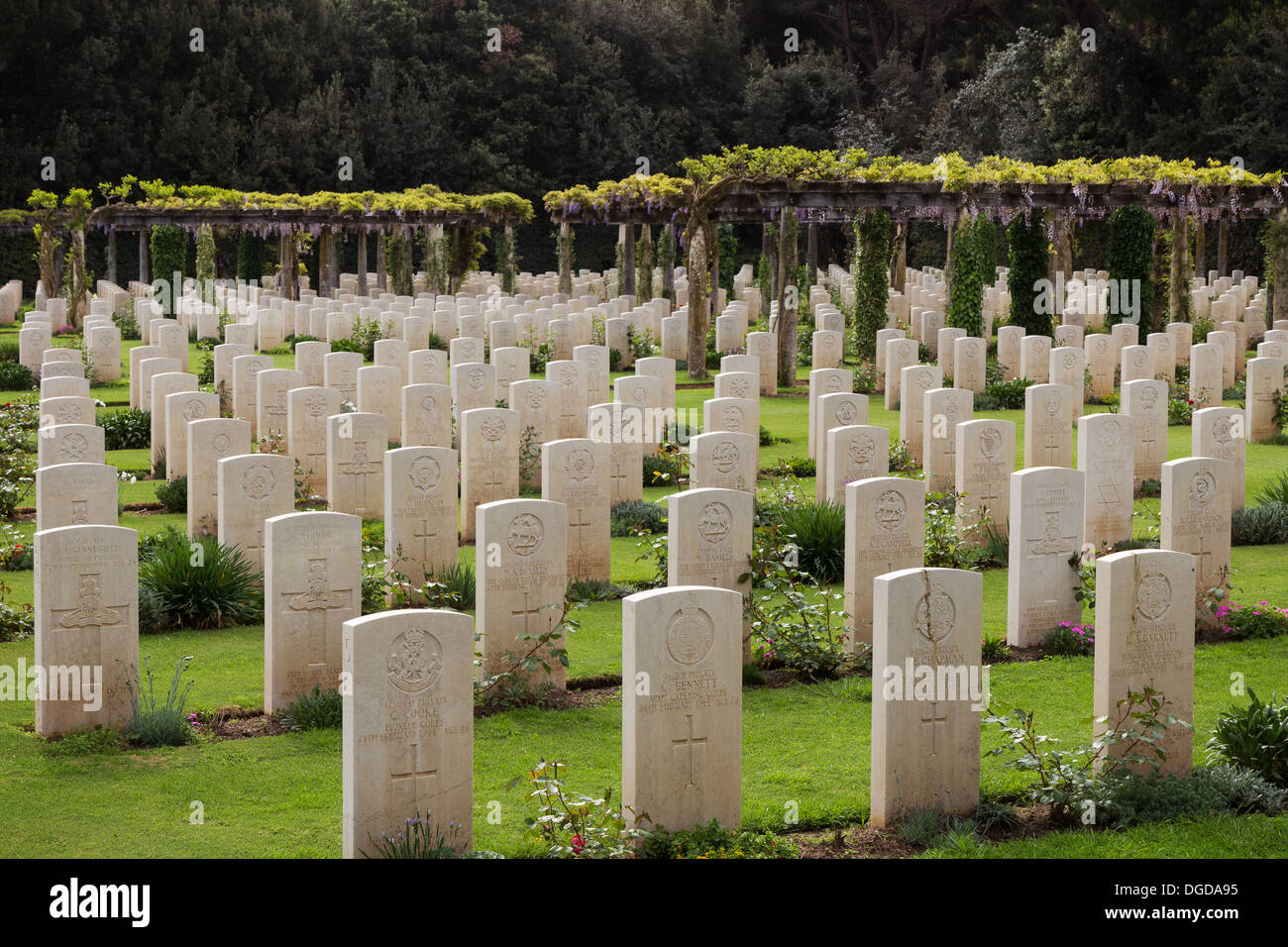 Lots of gravestones at the Sicily–Rome American Cemetery and Memorial ...