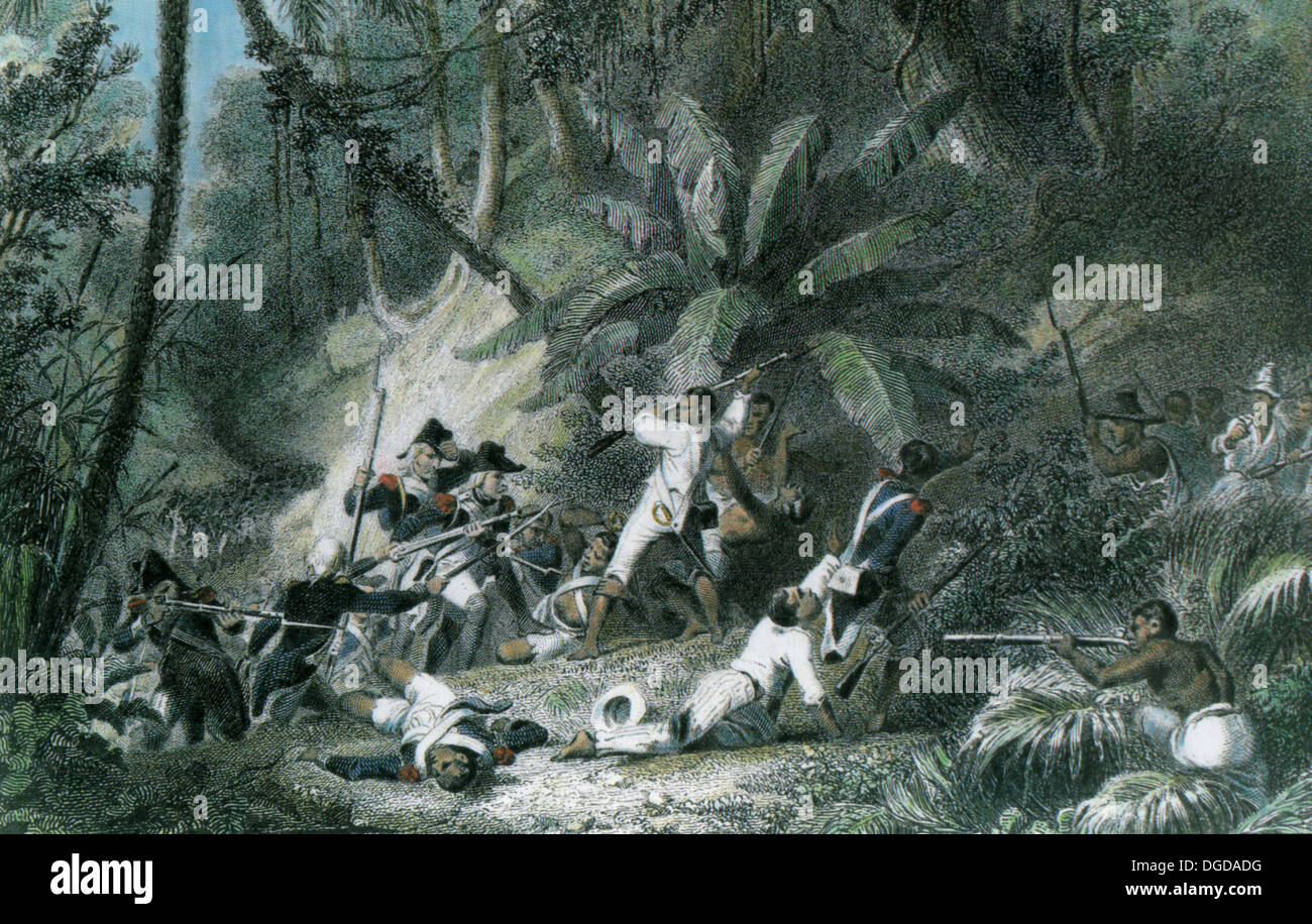 Haitian Revolution Slaves