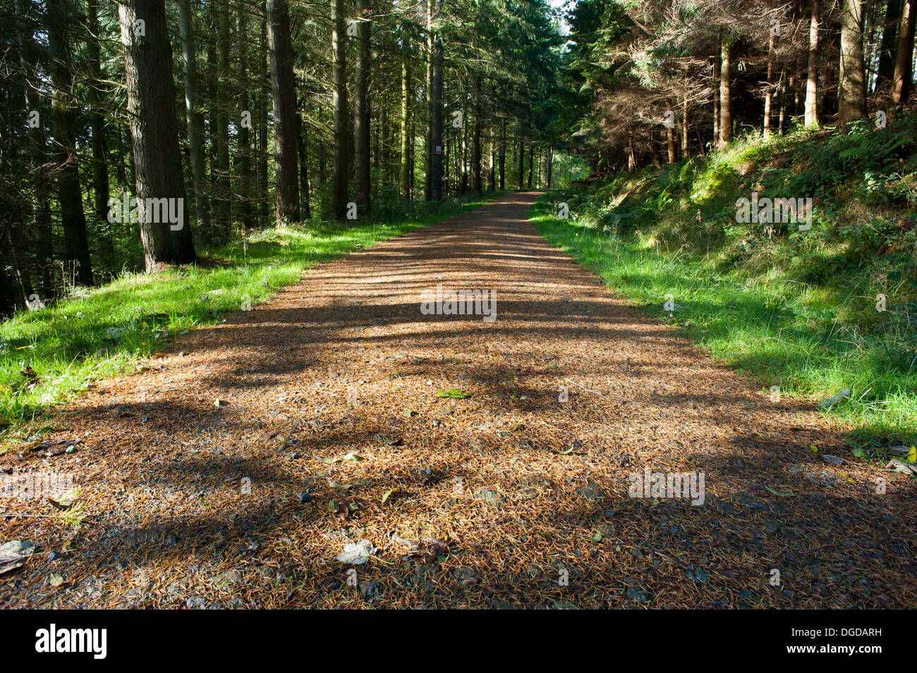 Breidden hills shropshire hi-res stock photography and images - Alamy