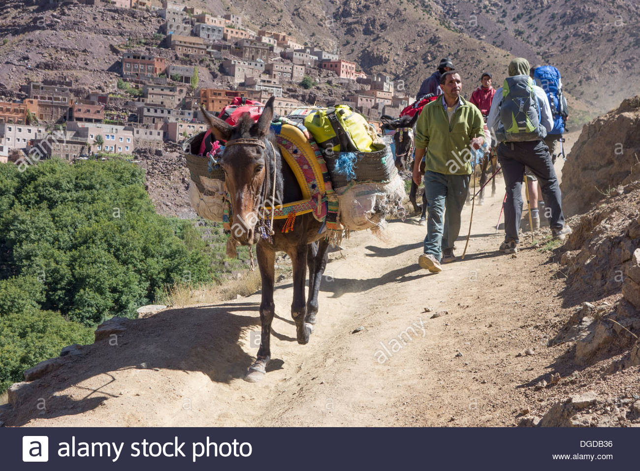Muleteer High Resolution Stock Photography and Images - Alamy