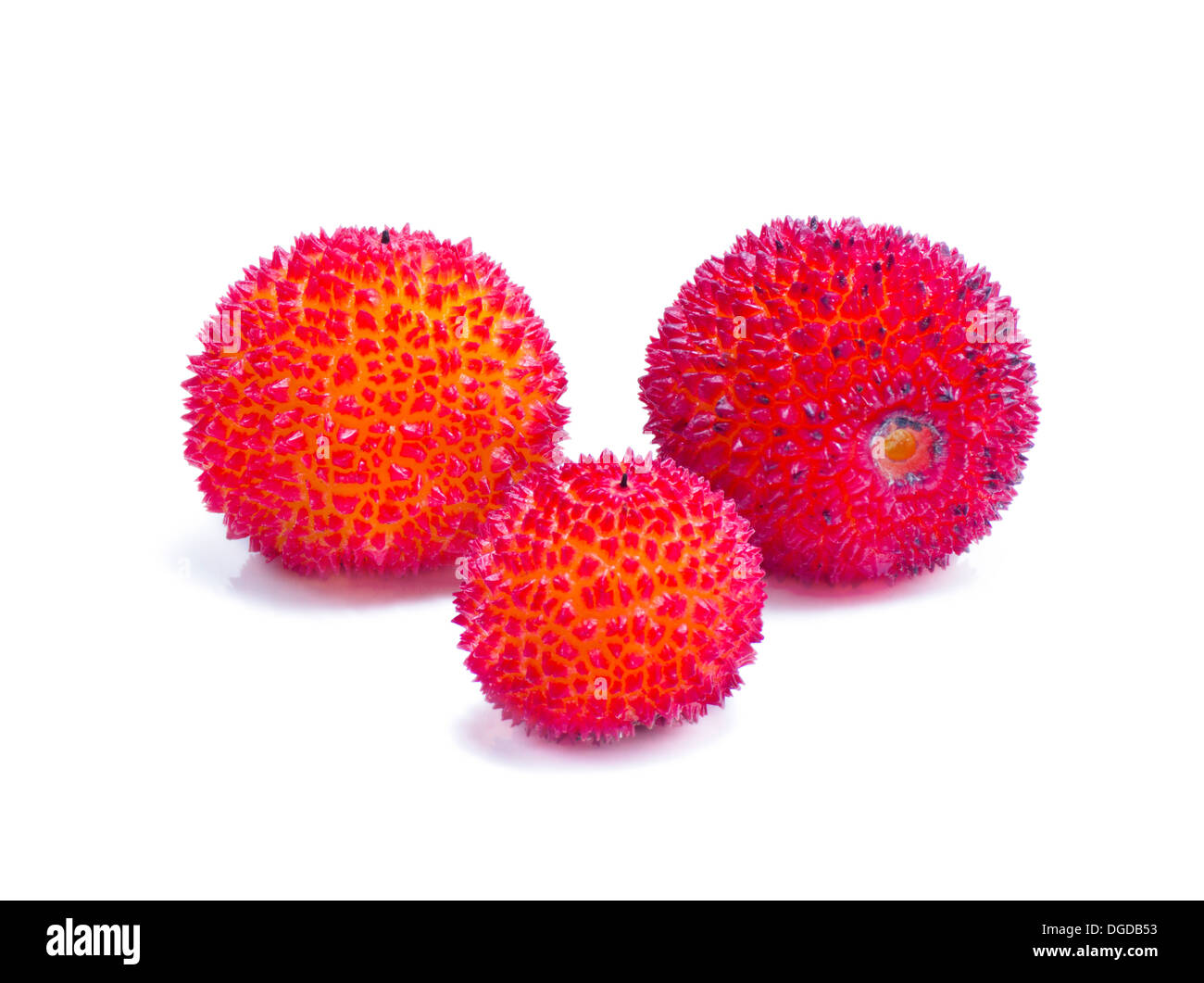 strawberry tree fruits isolated (Arbutus unedo Stock Photo - Alamy