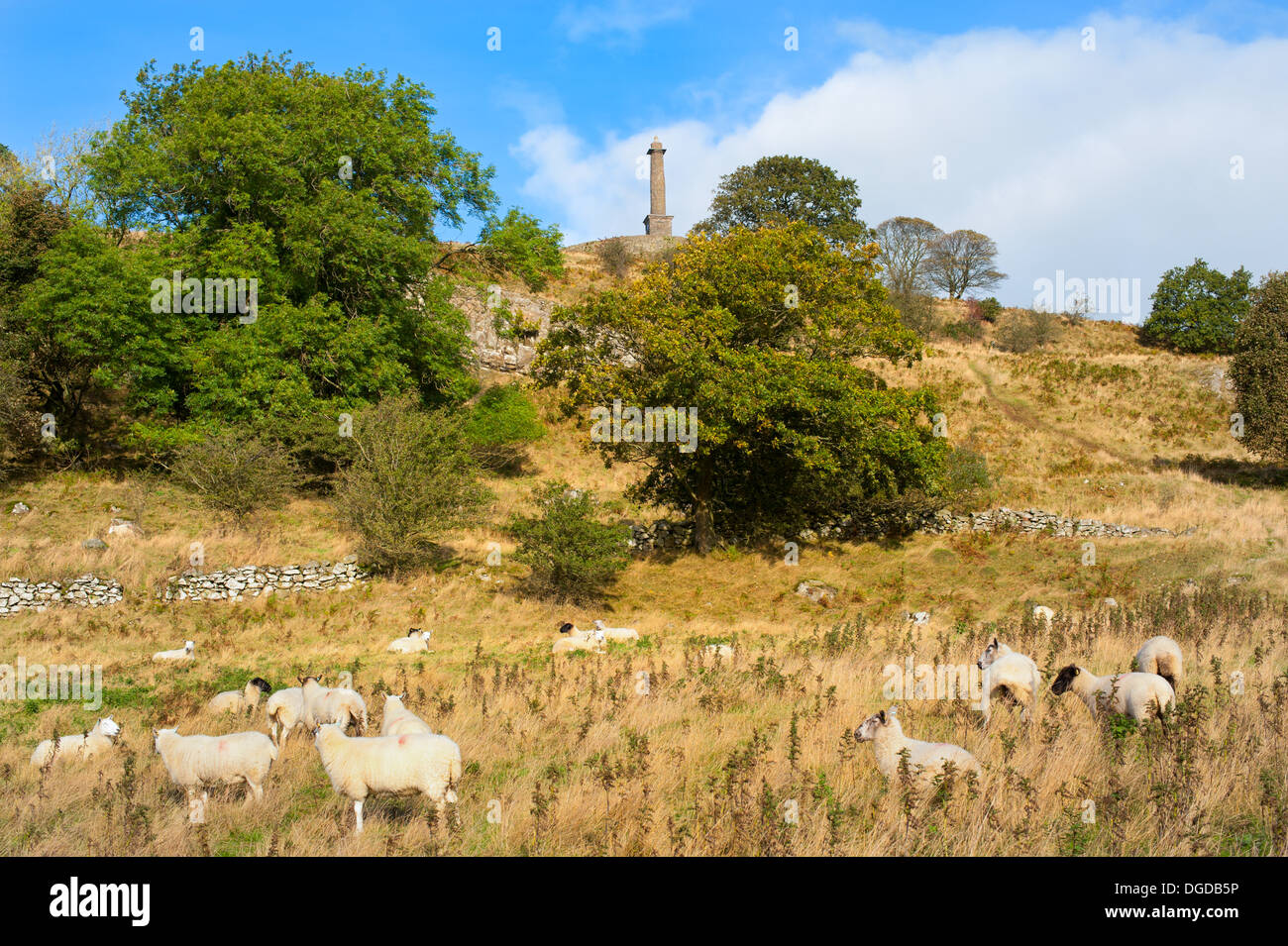 Rodney's Pillar, Breidden Hills, on the Shropshire-Powys border, UK ...