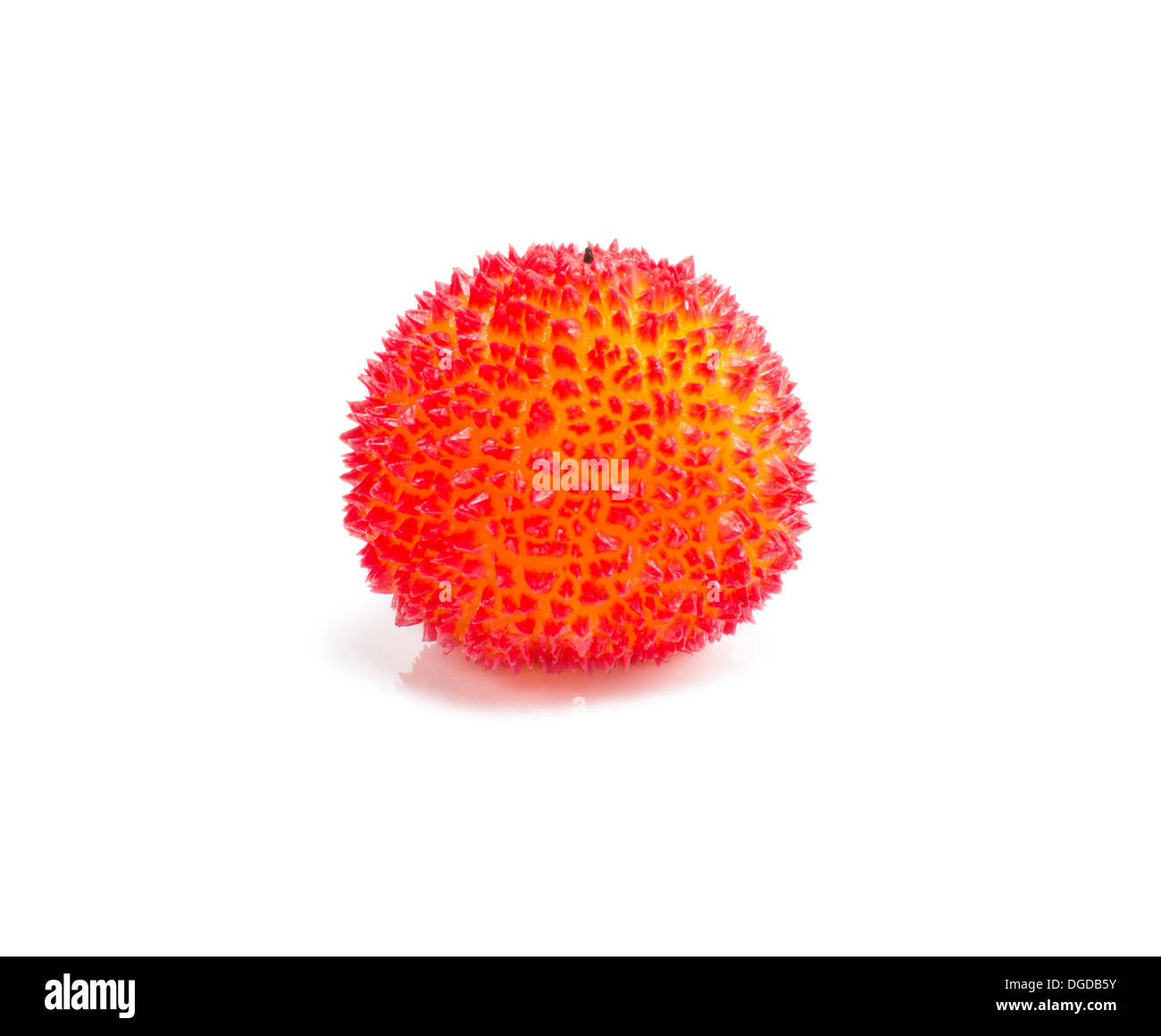 Strawberry tree fruit hi-res stock photography and images - Alamy