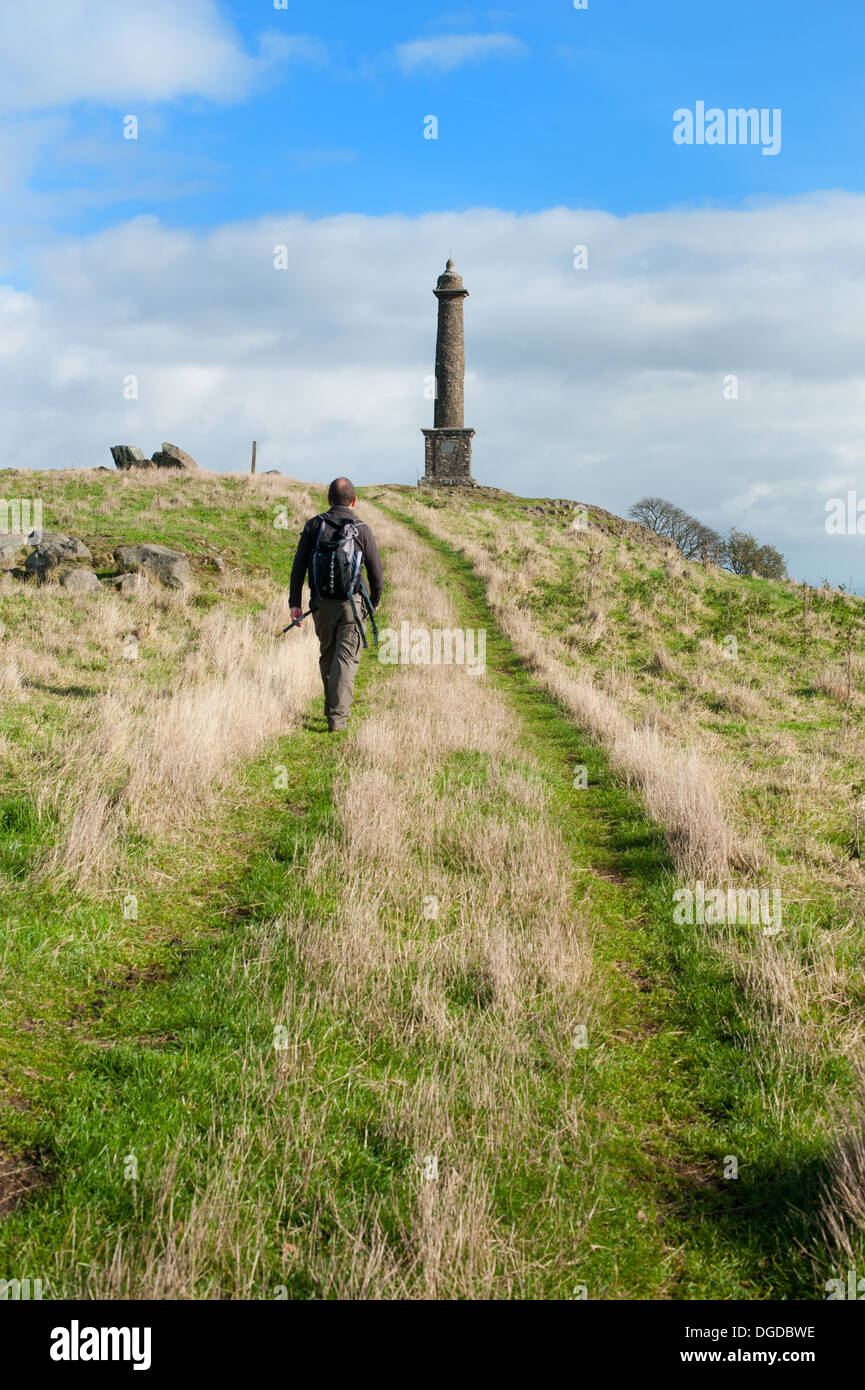 A walker heading to Rodney's Pillar, Breidden Hills, on the Shropshire ...