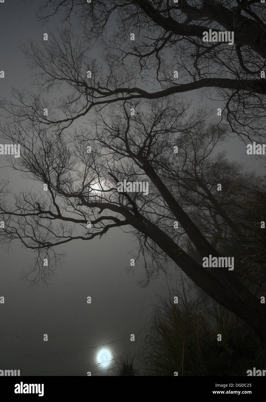 Sun through fog hi-res stock photography and images - Alamy