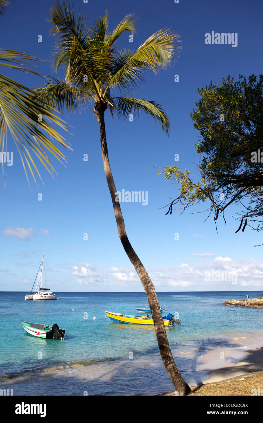 Landscape tropical beach in Carribean Stock Photo - Alamy