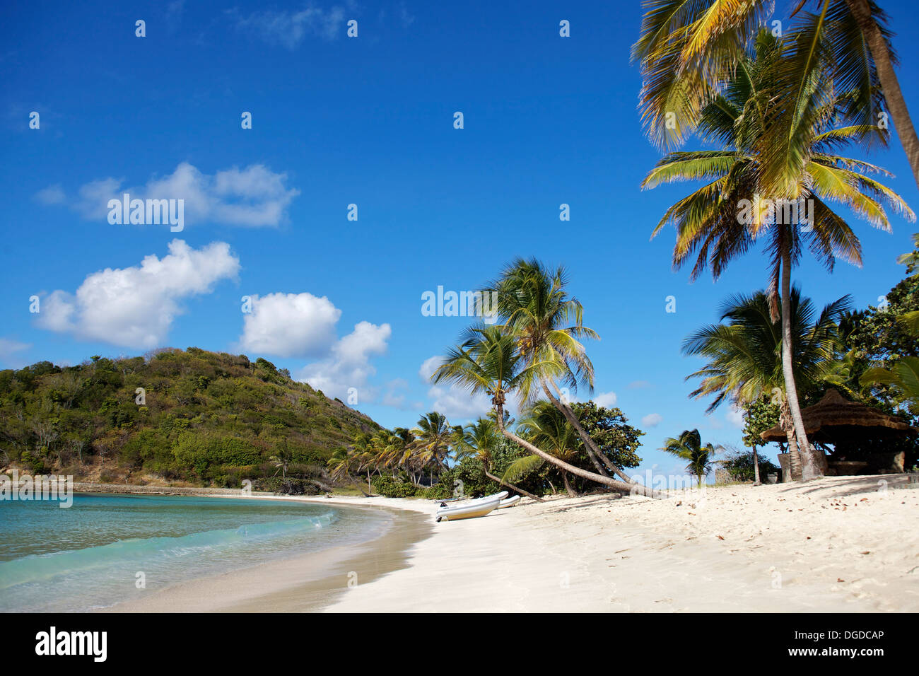 Landscape tropical beach in Carribean Stock Photo - Alamy