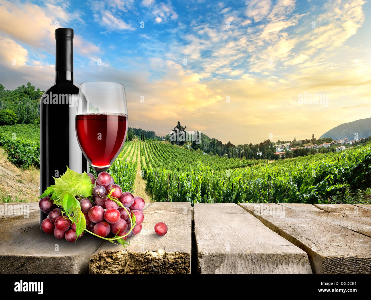 Table grape vineyard hi-res stock photography and images - Alamy