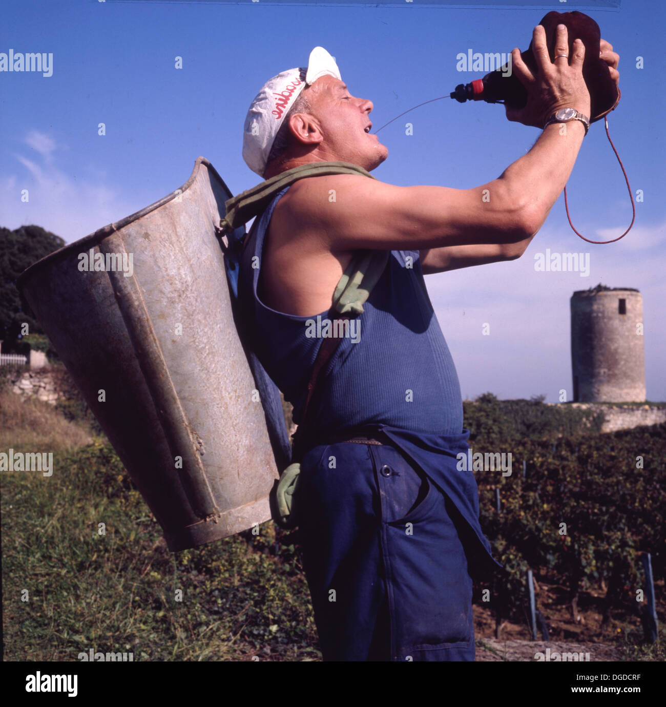 Grape Picker Bucket High Resolution Stock Photography and Images - Alamy