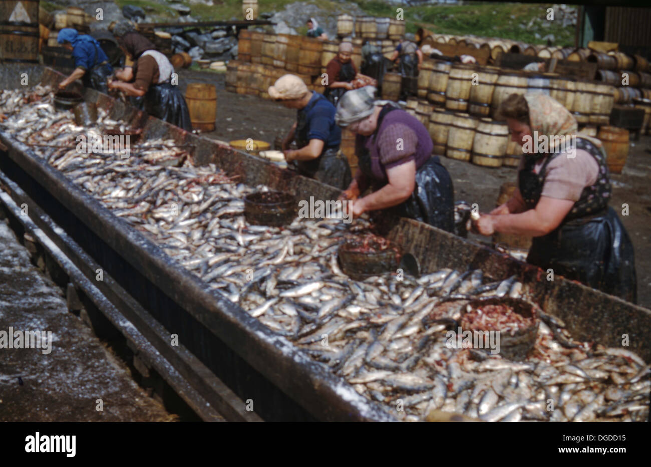 1970s food fish kippers hi-res stock photography and images - Alamy