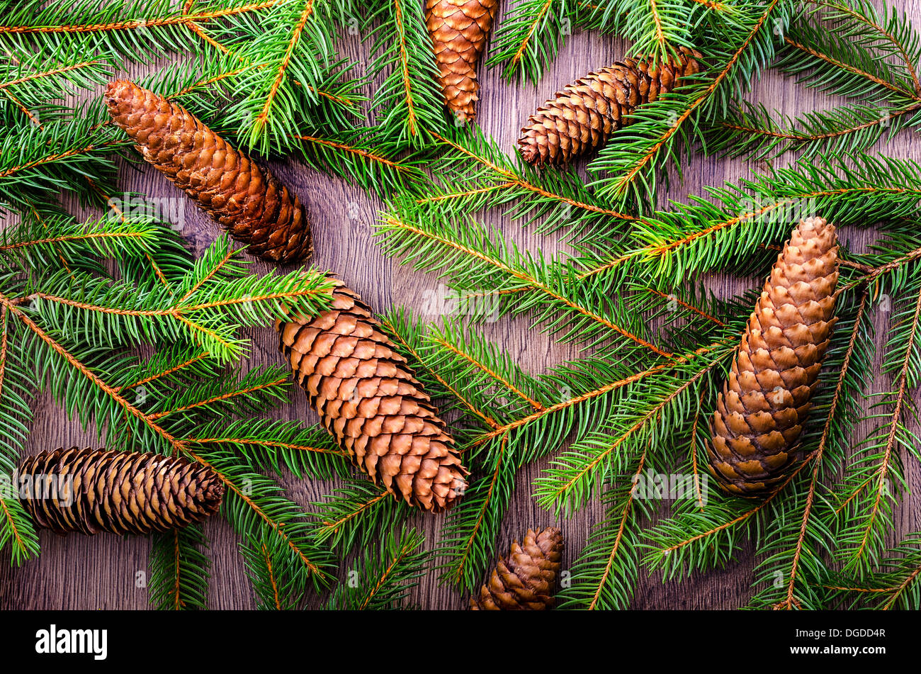 Christmas spruce background for congratulations Stock Photo - Alamy