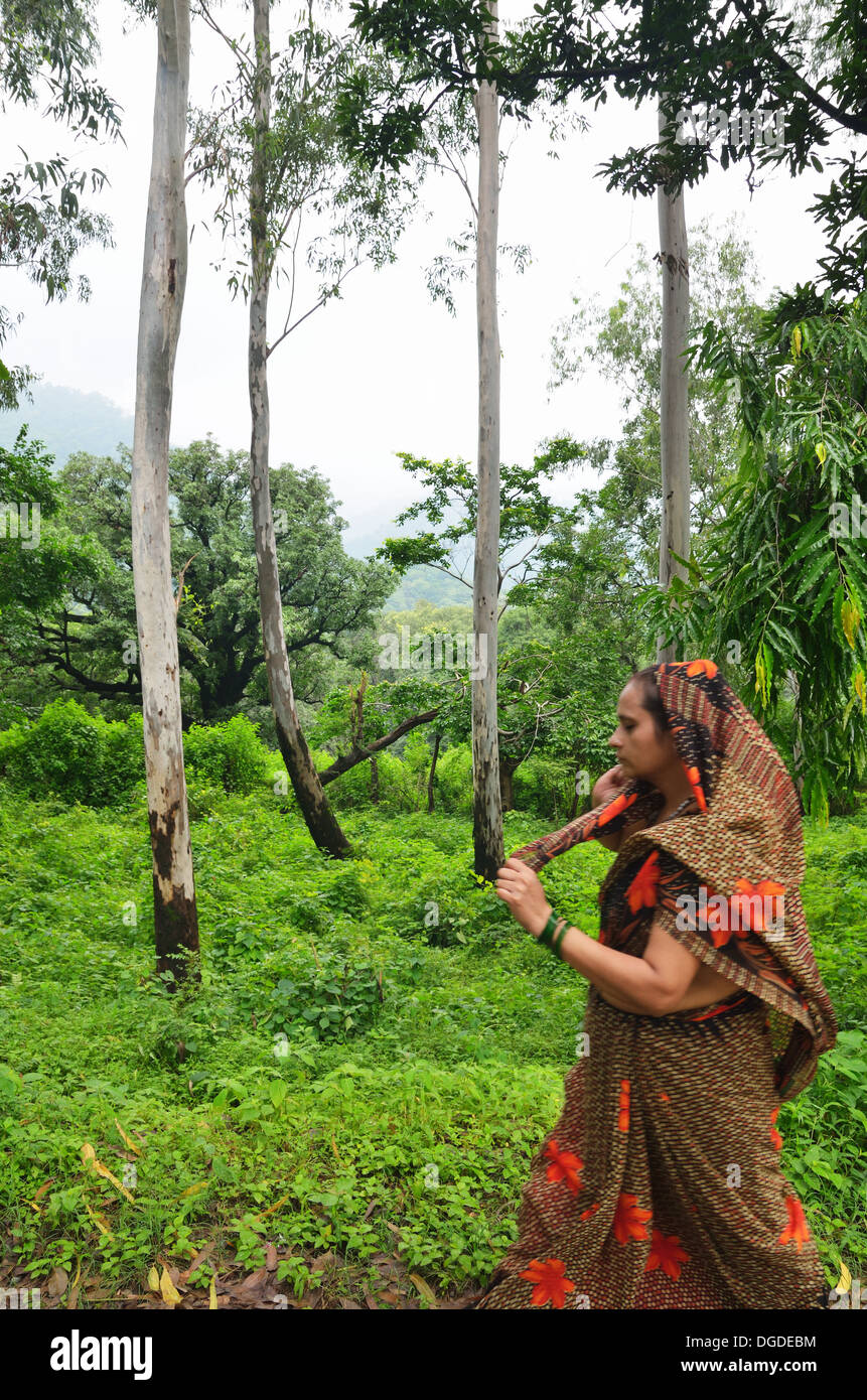 Indian woman walking through the ashram garden in Rishikesh, India ...