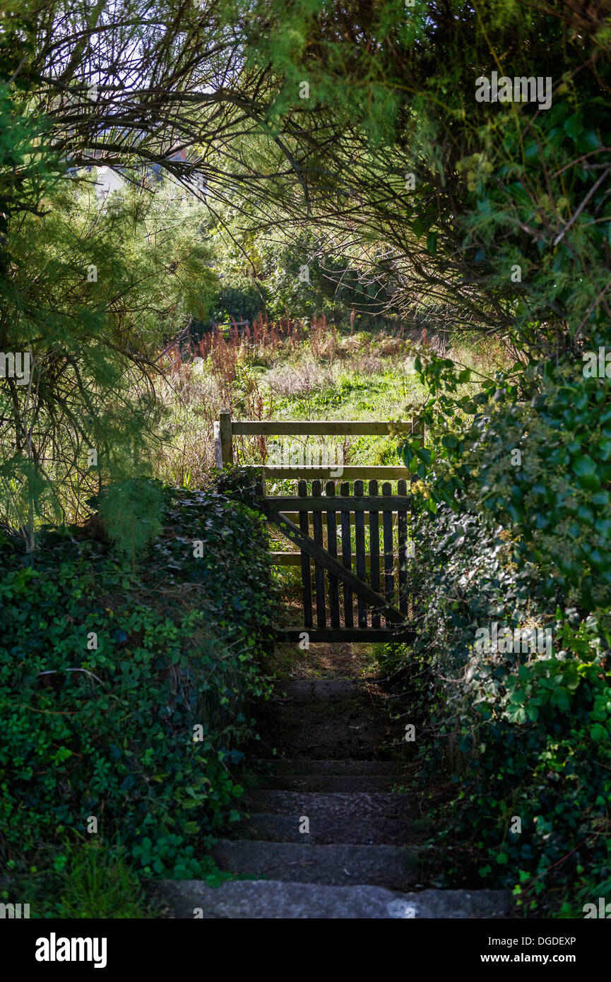 Steps leading down to a small wooden gate Stock Photo - Alamy