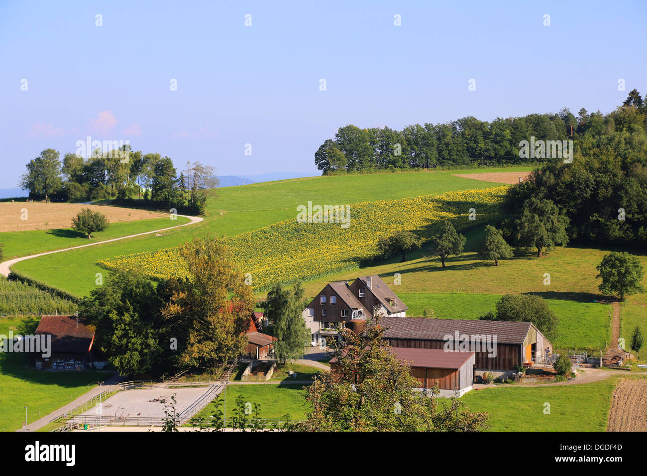 Swiss Farm House High Resolution Stock Photography and Images - Alamy
