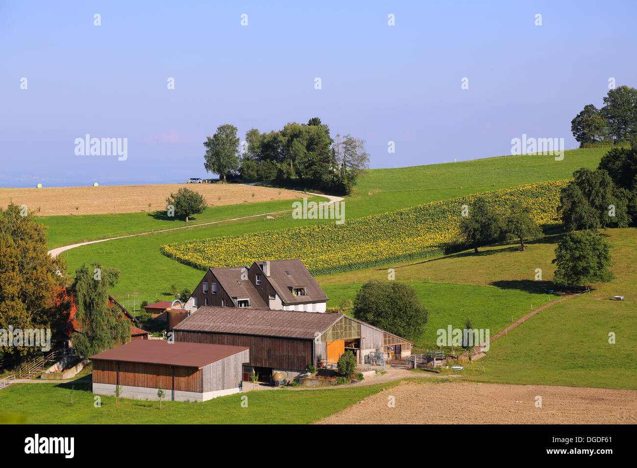 Swiss farm house hi-res stock photography and images - Alamy