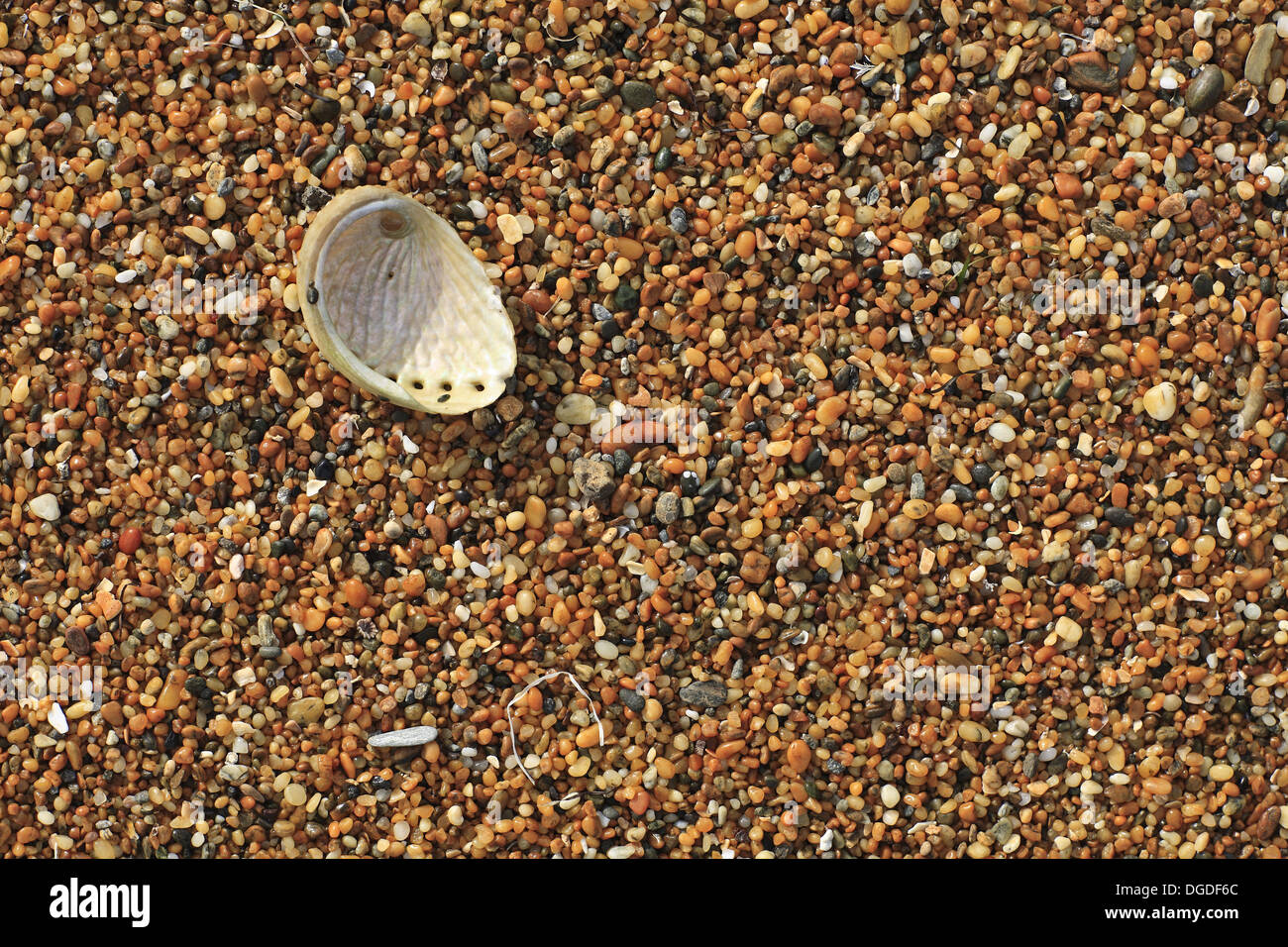 Paua beach hi-res stock photography and images - Alamy