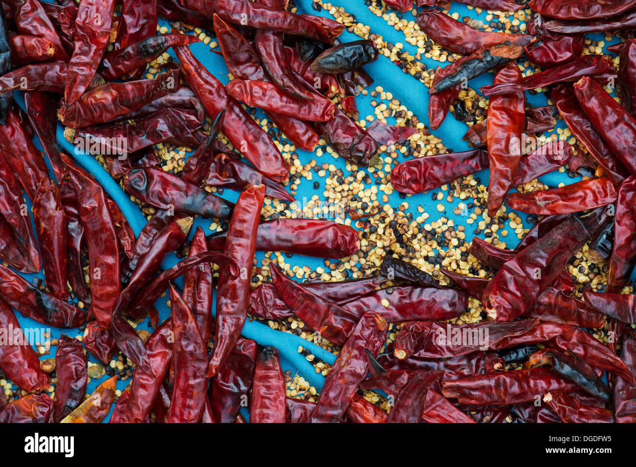Indian red chilli hi-res stock photography and images - Alamy