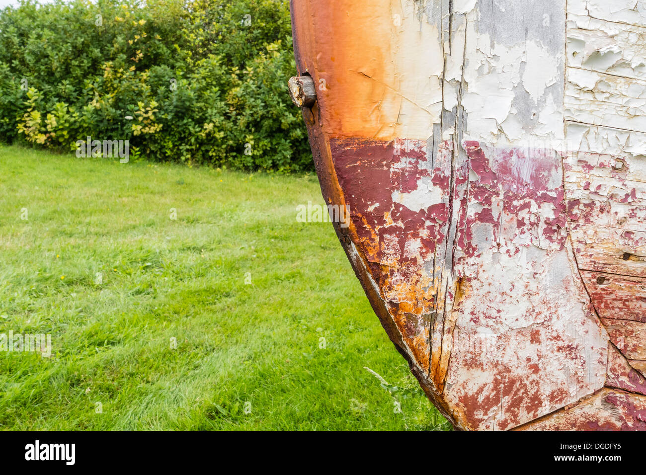 Old rusting fishing boat hulls lined up on the grass in a state of ...
