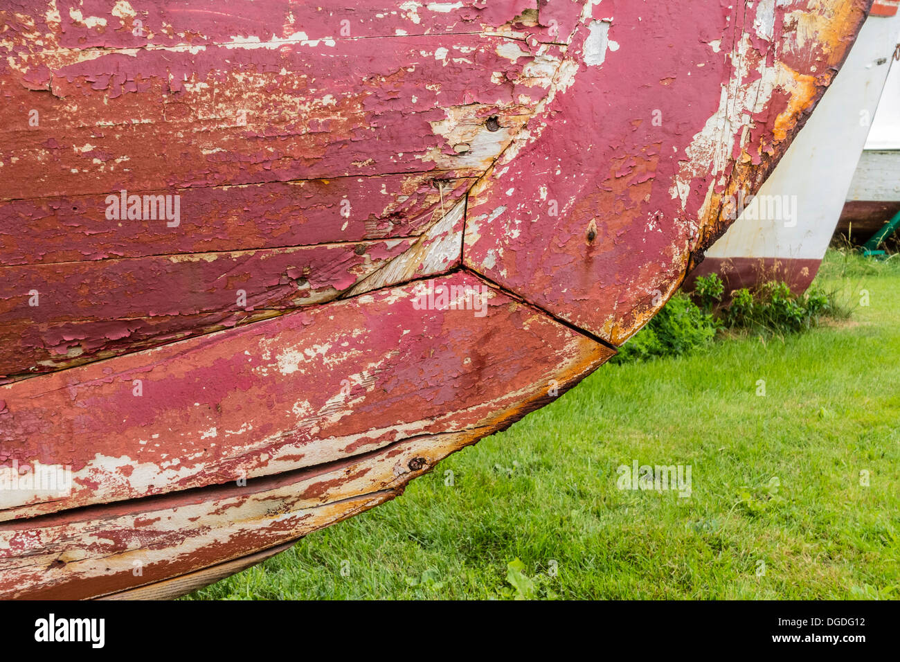 Old rusting fishing boat hulls lined up on the grass in a state of ...