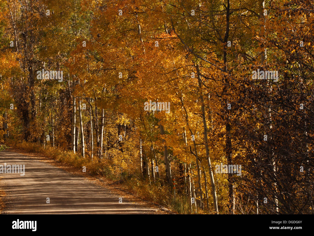 A Dusty Country Road During Autumn Stock Photo - Alamy