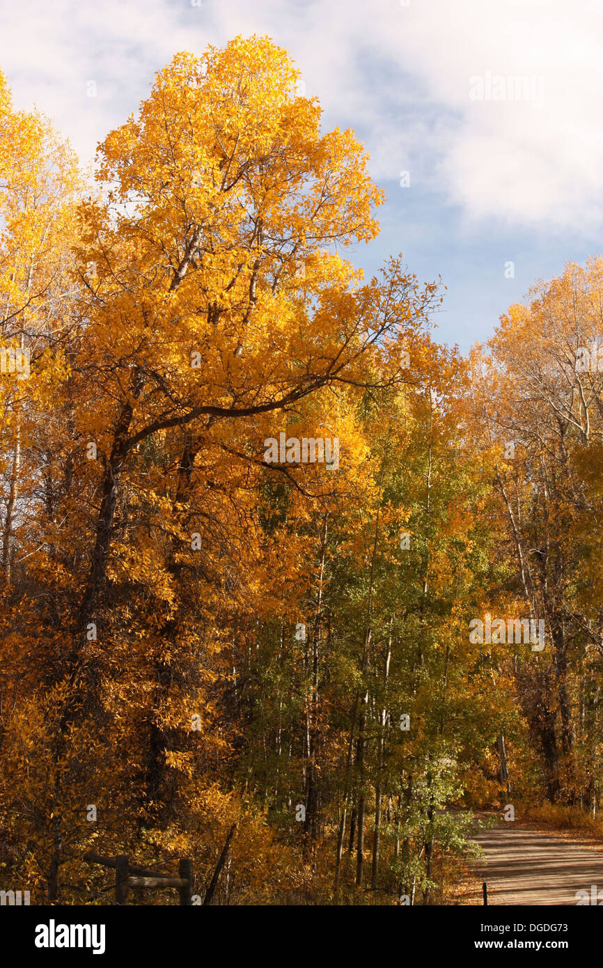 A Dusty Country Road Stock Photo - Alamy