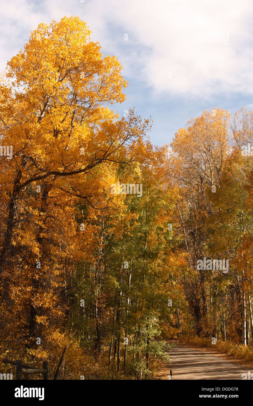 A Dusty Country Road Stock Photo - Alamy