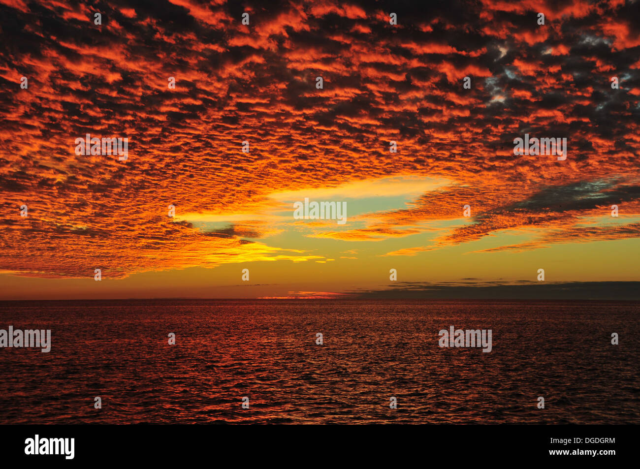 Fitzroy reef hi-res stock photography and images - Alamy