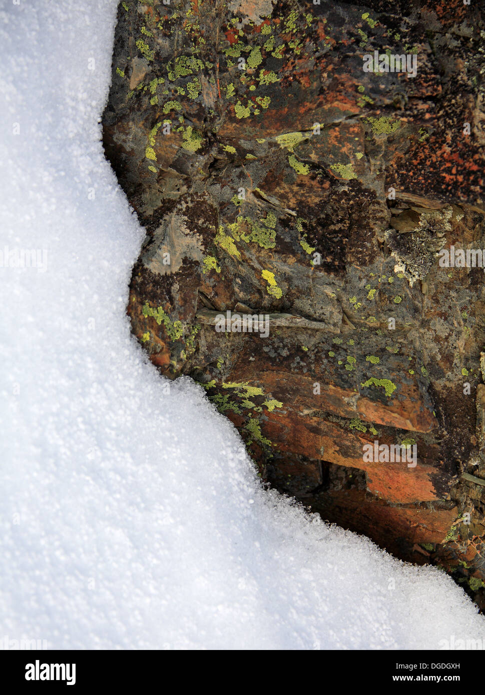 Colorful profile hi-res stock photography and images - Alamy