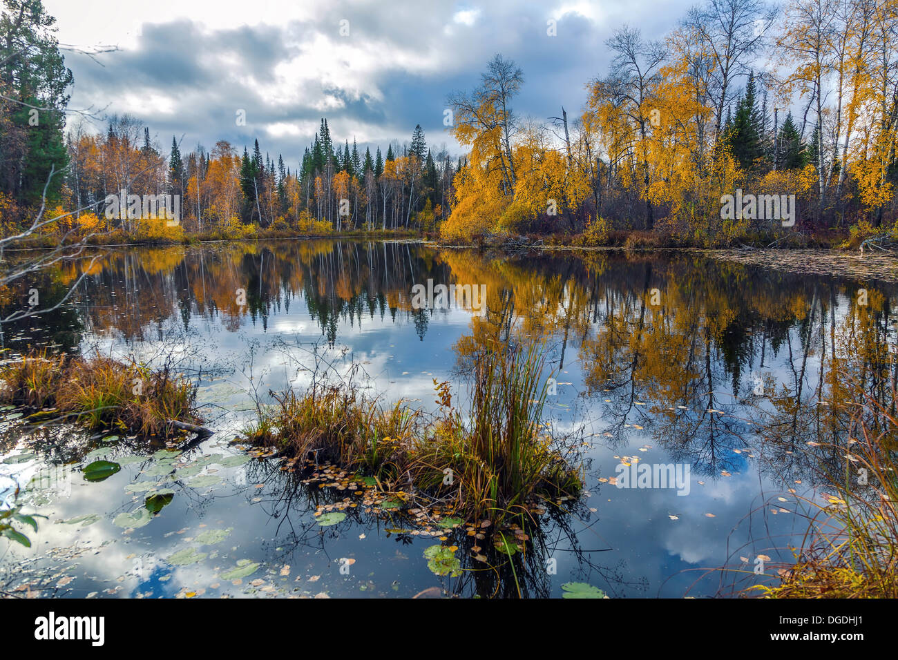 Autumn in Siberia Stock Photo - Alamy