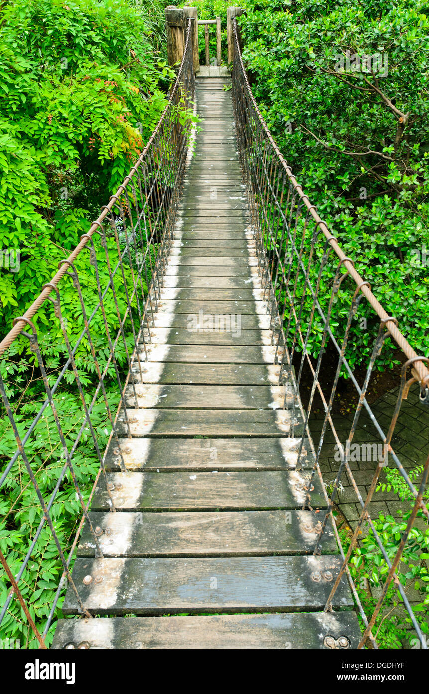 Treetops adventure park hi-res stock photography and images - Alamy