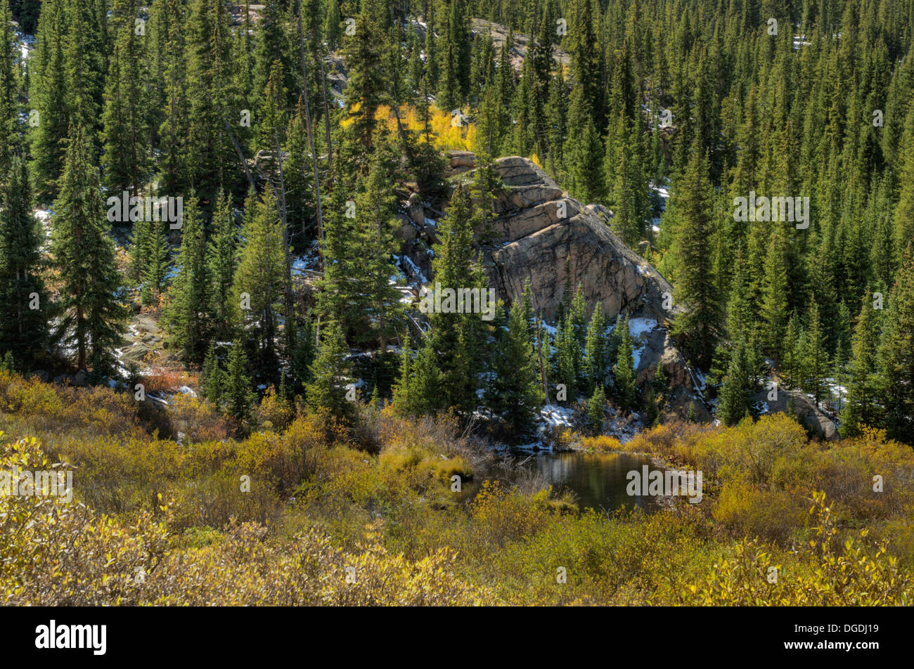 A picturesque beaver pond alongside the Weston Pass road in Colorado's ...