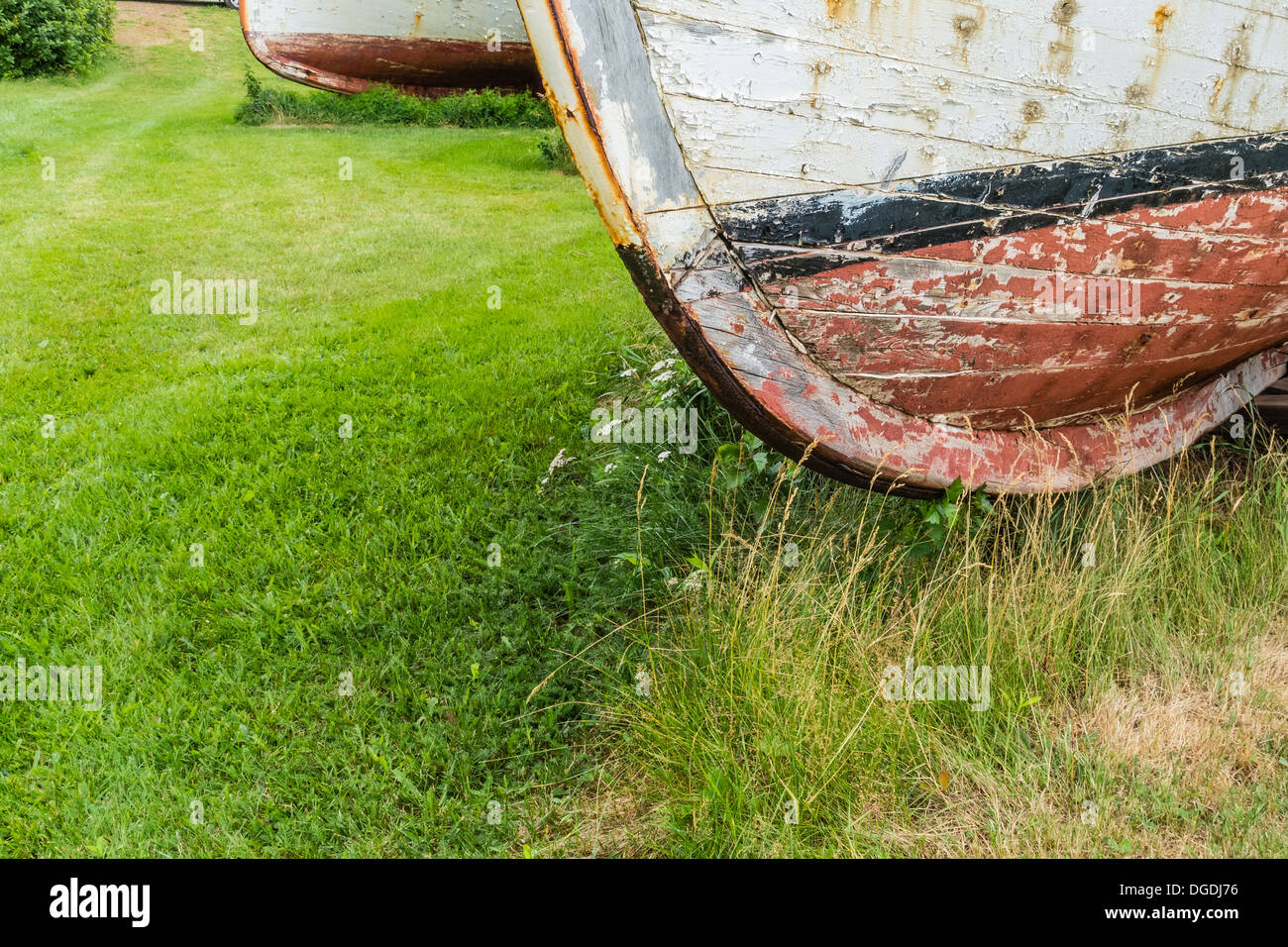 Old rusting fishing boat hulls lined up on the grass in a state of ...