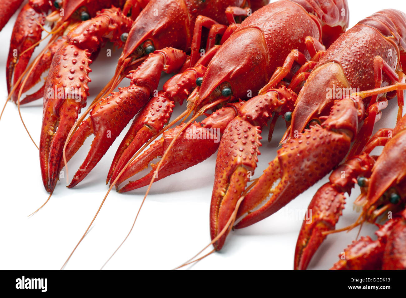 Prepared many red crayfish on white background Stock Photo - Alamy