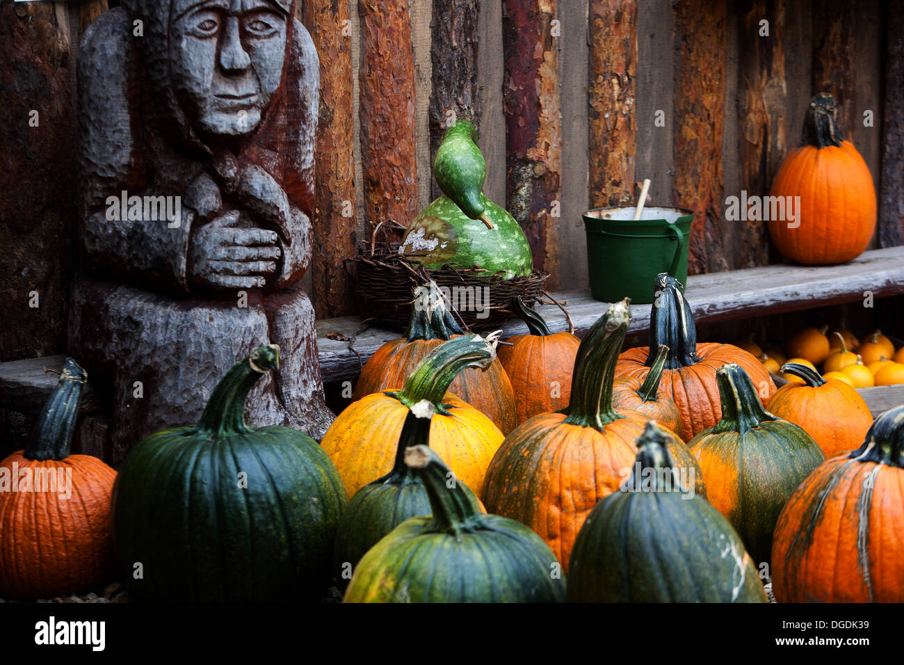 Autumn display with pumpkins, squash Stock Photo - Alamy