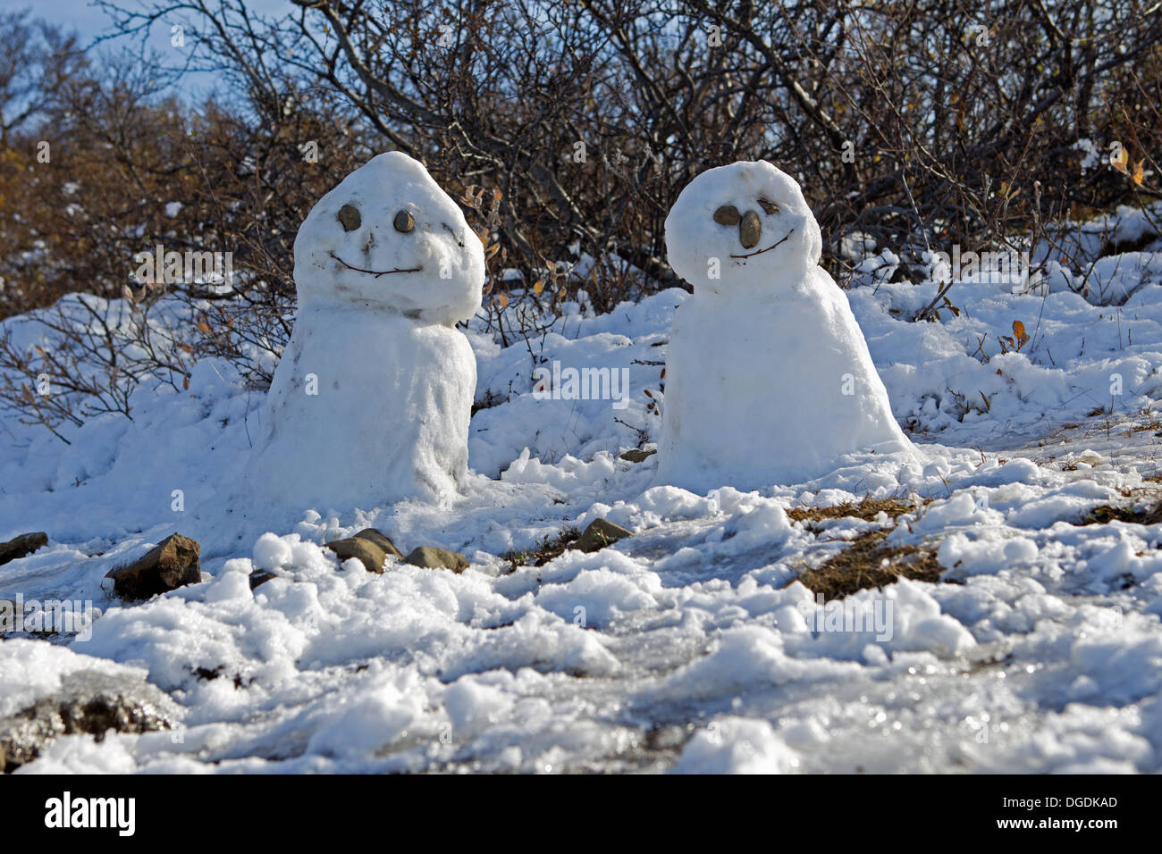 Snowmen in Skaftafell National Park in southern Iceland Stock Photo - Alamy