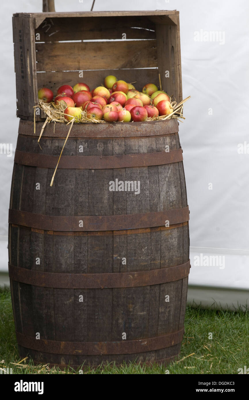 Beer Barrel with a create of Harvested Apples on top Stock Photo - Alamy