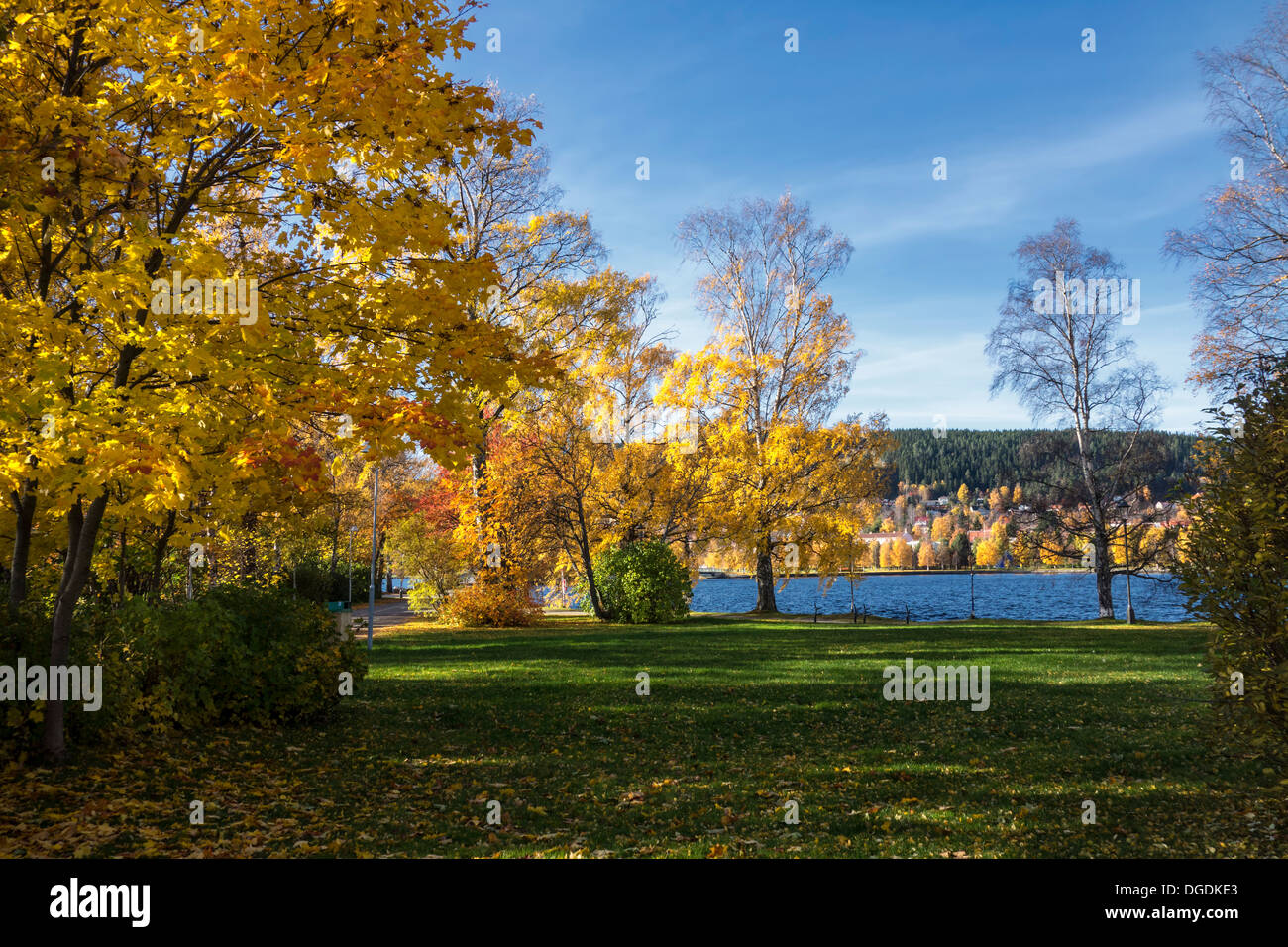 Beautiful scenery trees hi-res stock photography and images - Alamy