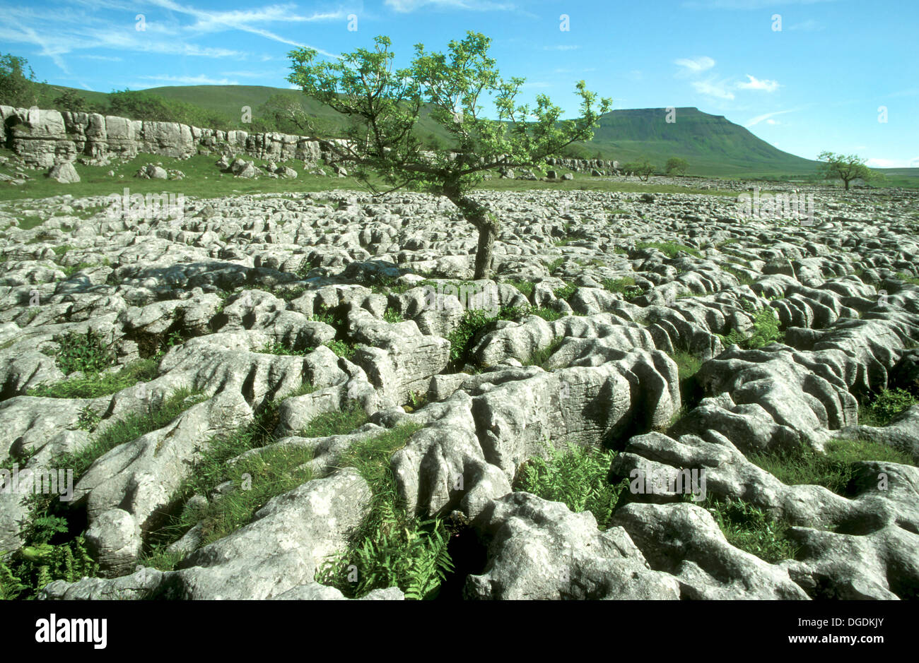 Yorkshire limestone hi-res stock photography and images - Alamy