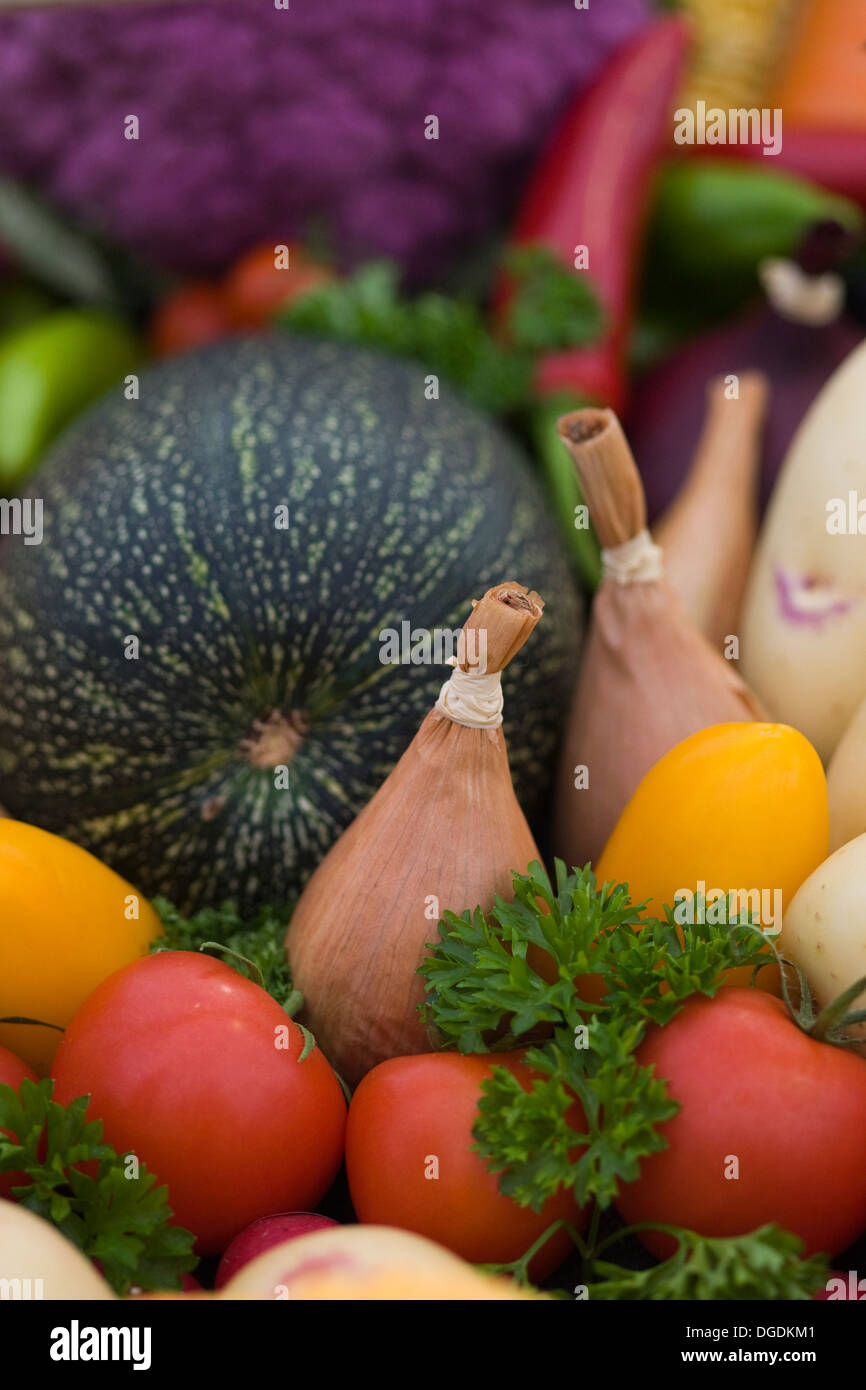 Vegetable Display for a Harvest Basket Stock Photo - Alamy