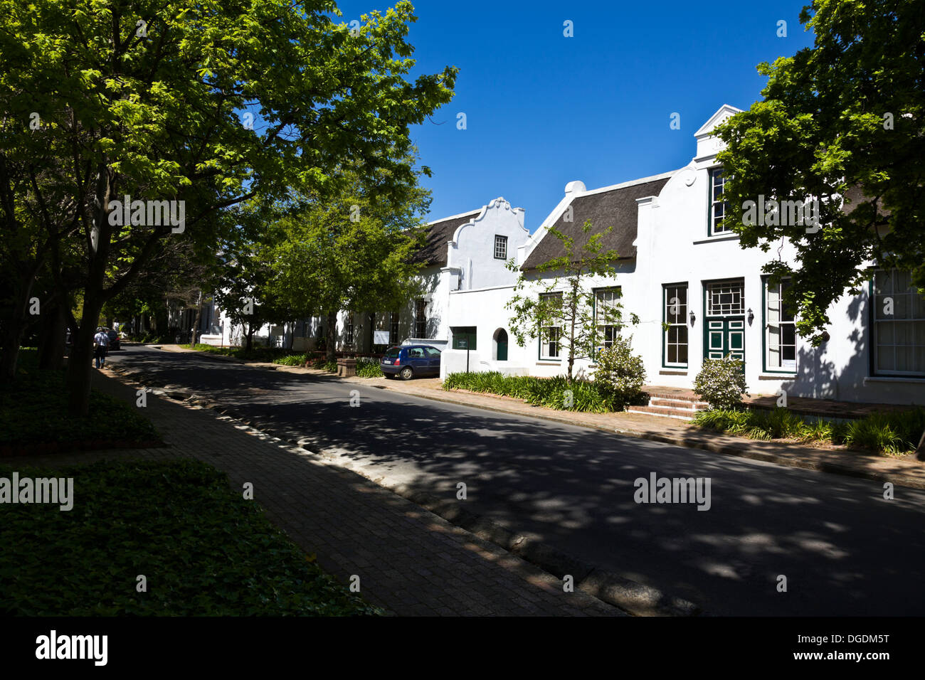 Cape Dutch style buildings on a leafy tree lined street in the Town of ...