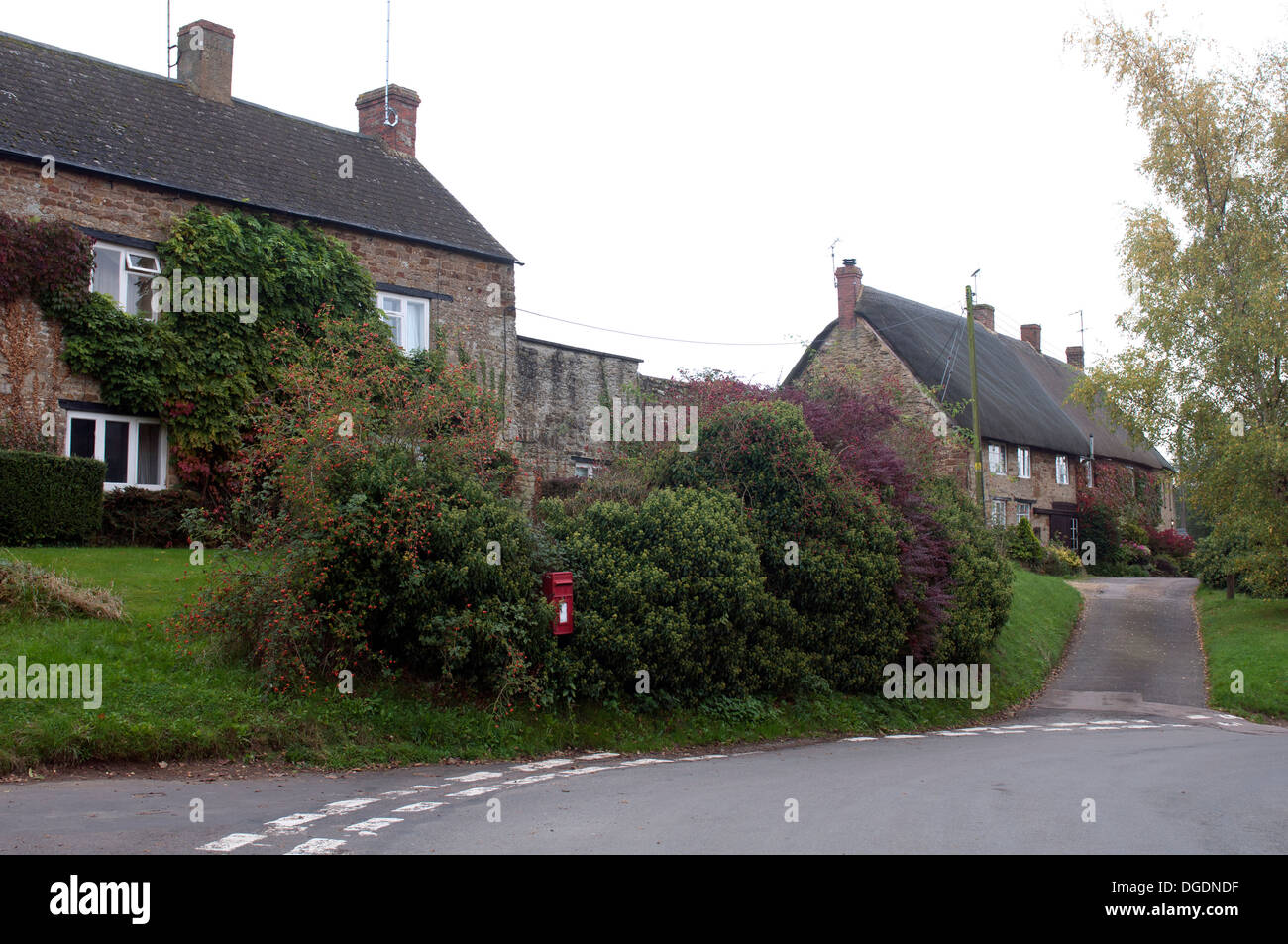 Burdrop hi-res stock photography and images - Alamy
